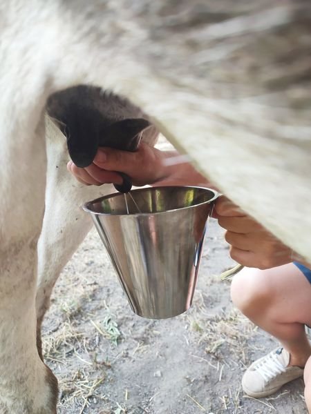 L'Âne Qui Bulle